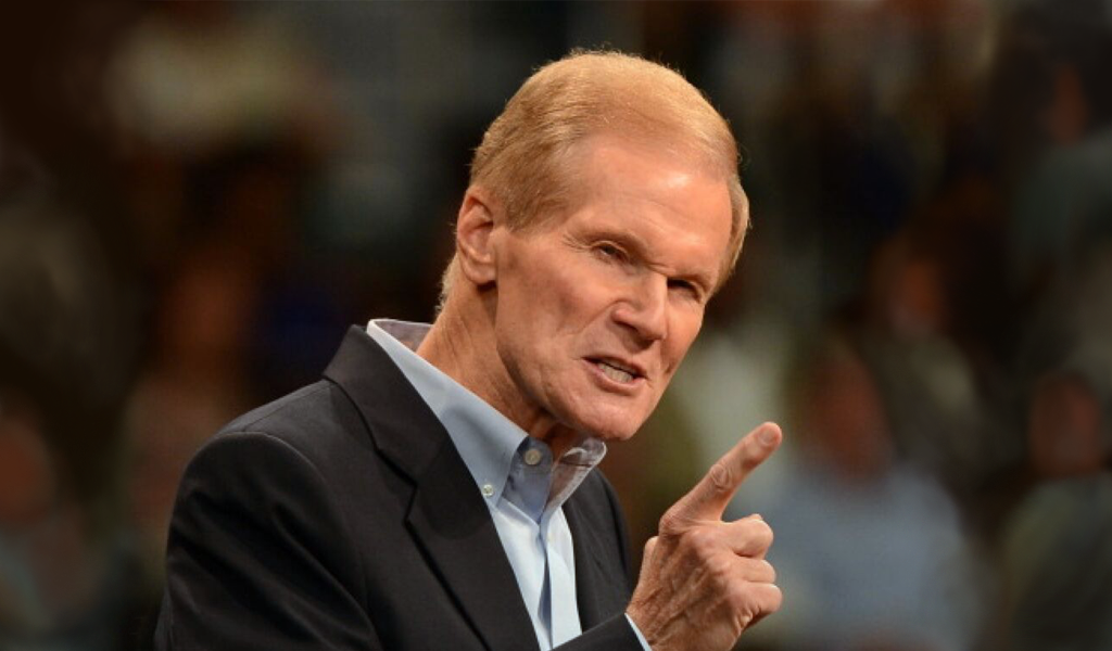 rare Nelson sighting - NRSC